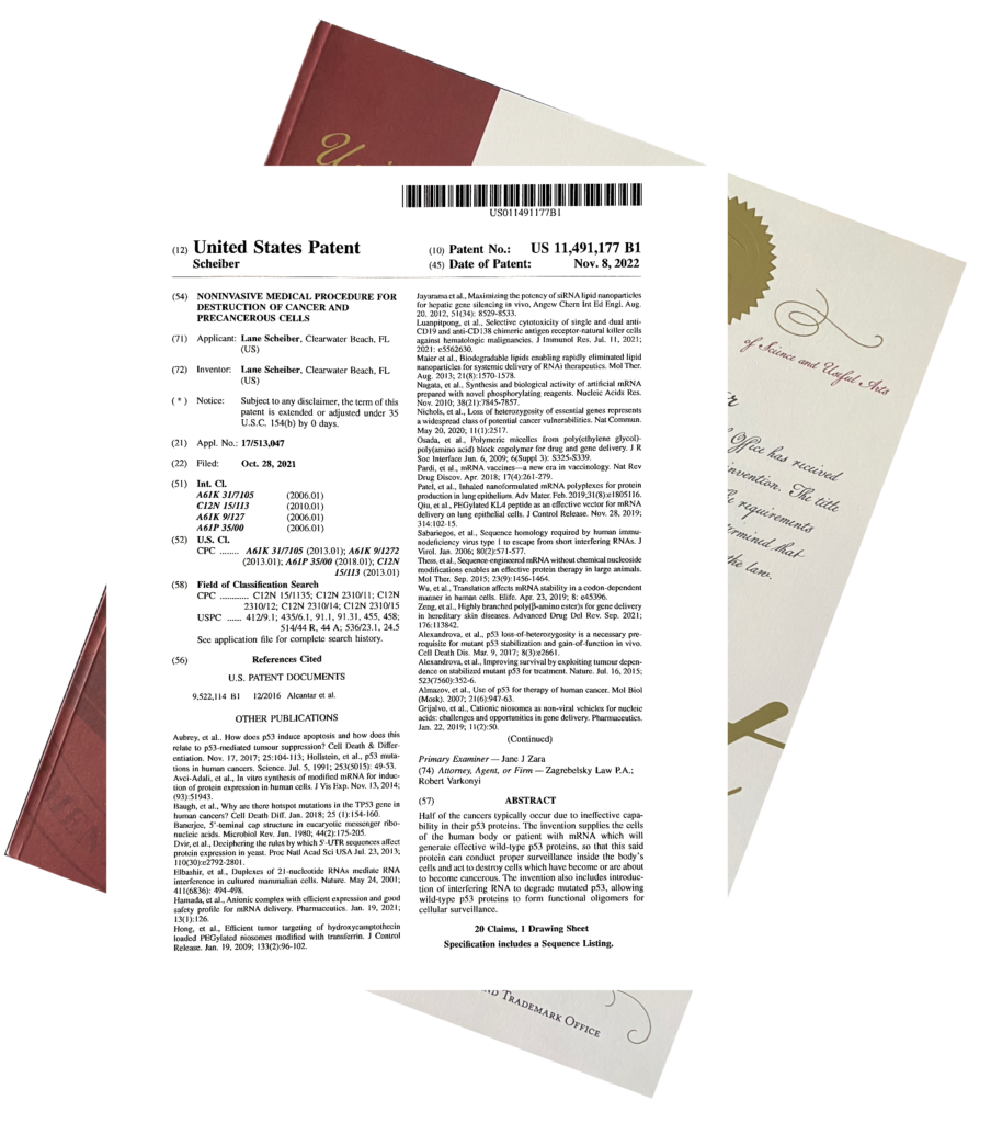 Selecting the Type of Patent Application - Prometheus IP Law